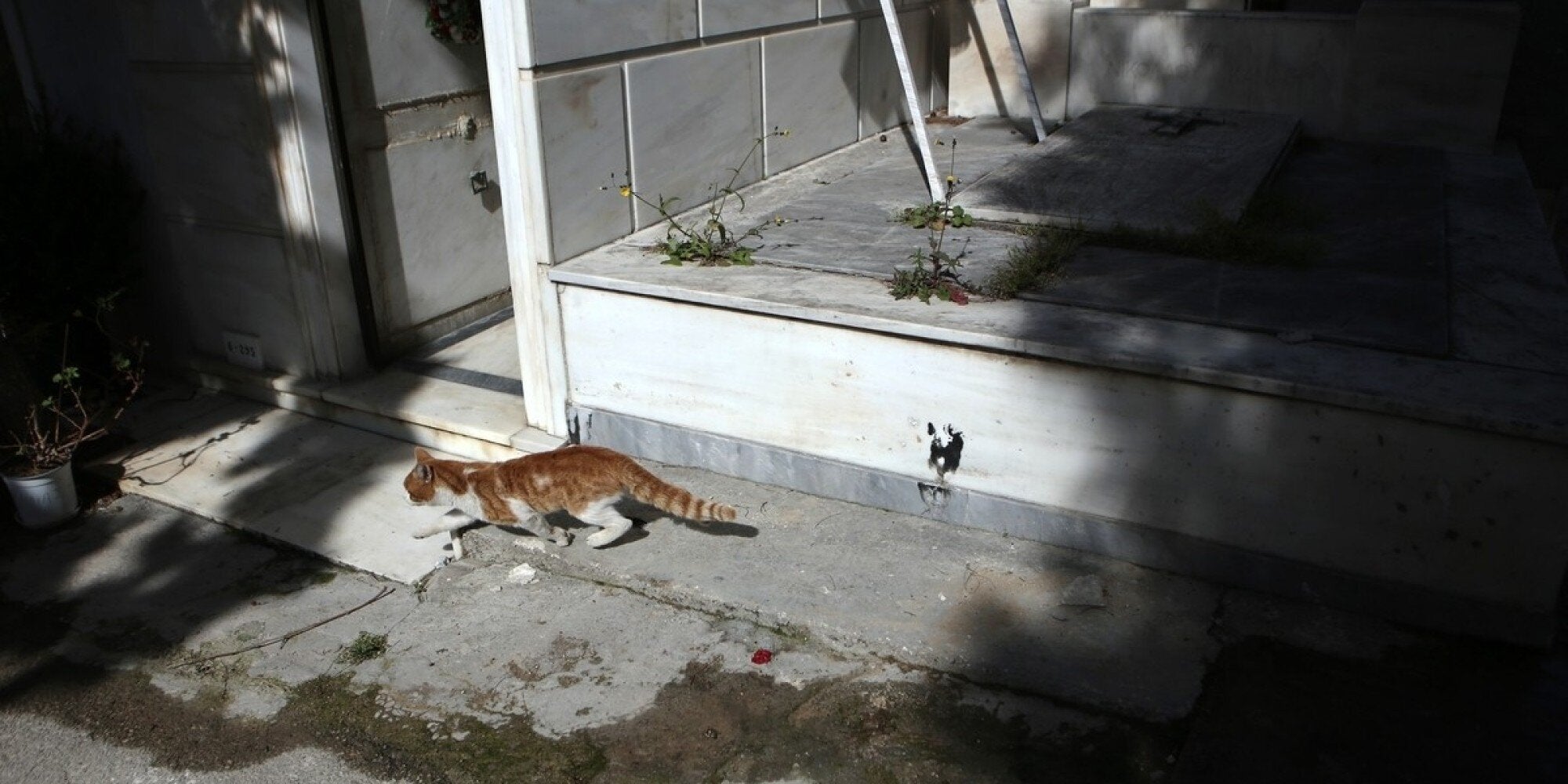 Σοκαριστικές εικόνες: Αστεγος κοιμάται σε νεκροταφείο στο Βέλο ...