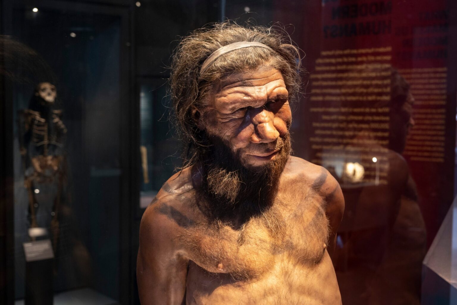 Πώς ο Homo sapiens έγινε το τελευταίο ανθρώπινο είδος που απέμεινε ...