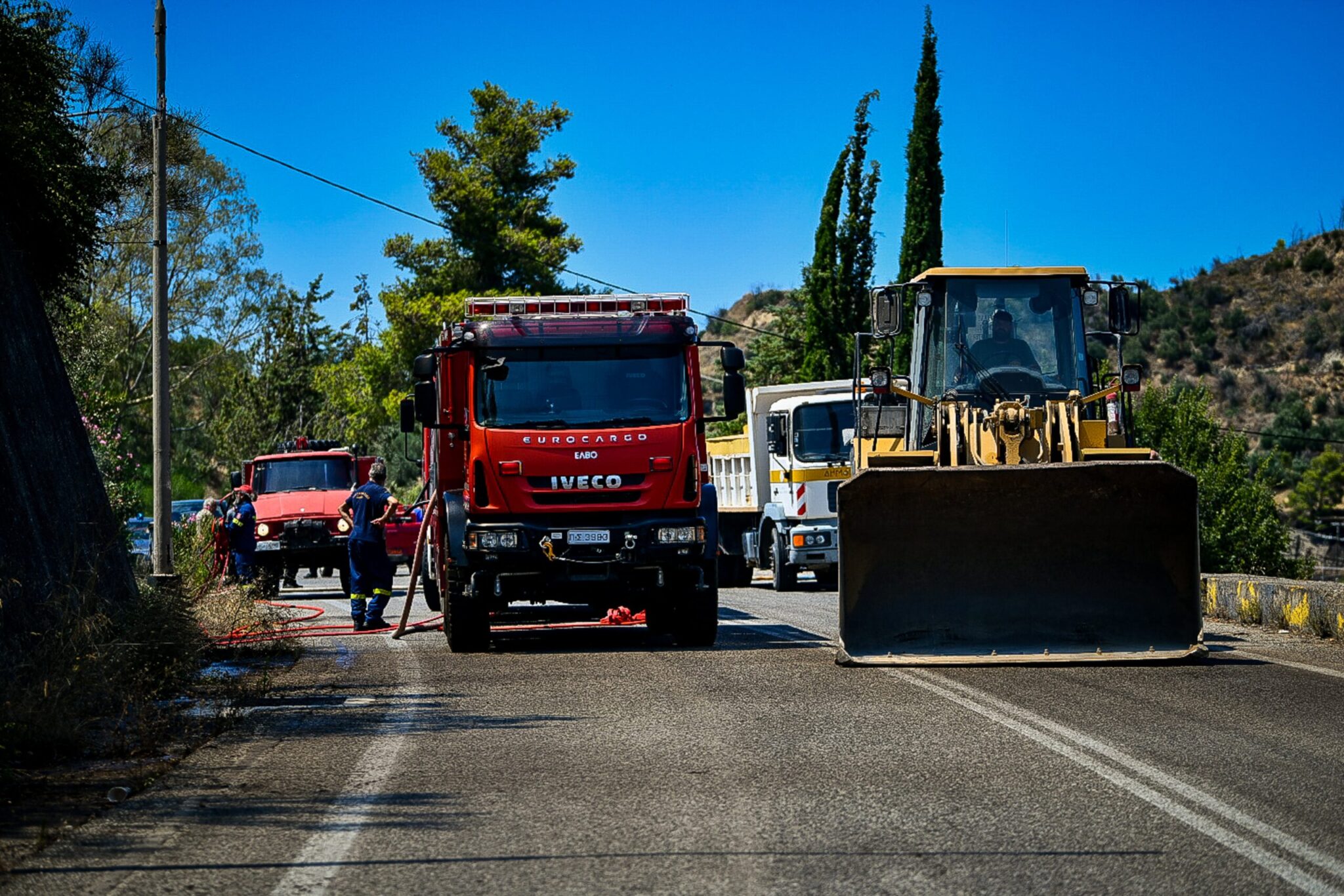Πυροσβεστική: 55 δασικές πυρκαγιές το τελευταίο εικοσιτετράωρο ...