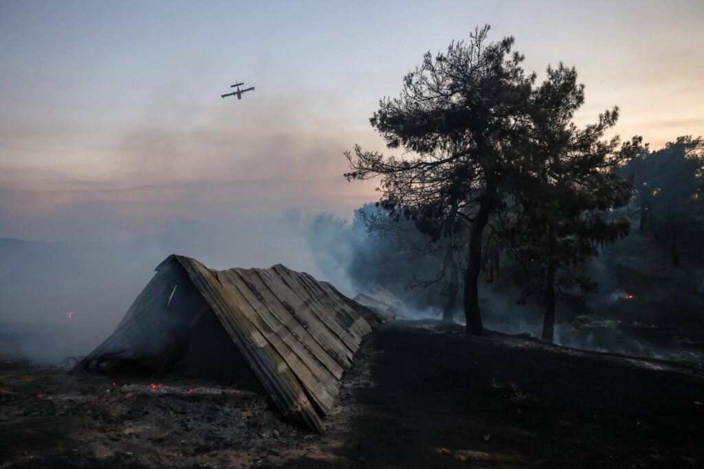 Εβρος: Στάχτη σχεδόν 1 εκατ. στρέμματα - Αποκαρδιωτική η εικόνα από ...