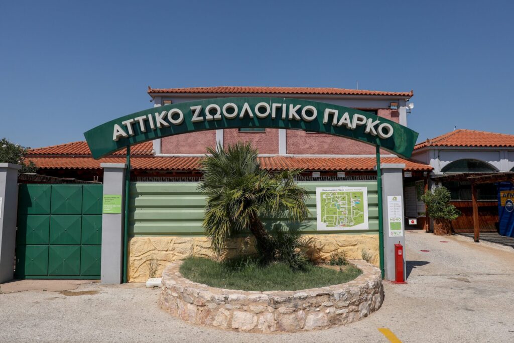 Αττικό Ζωολογικό Πάρκο: Ποινή φυλάκισης με αναστολή στην ιδιοκτήτρια ...