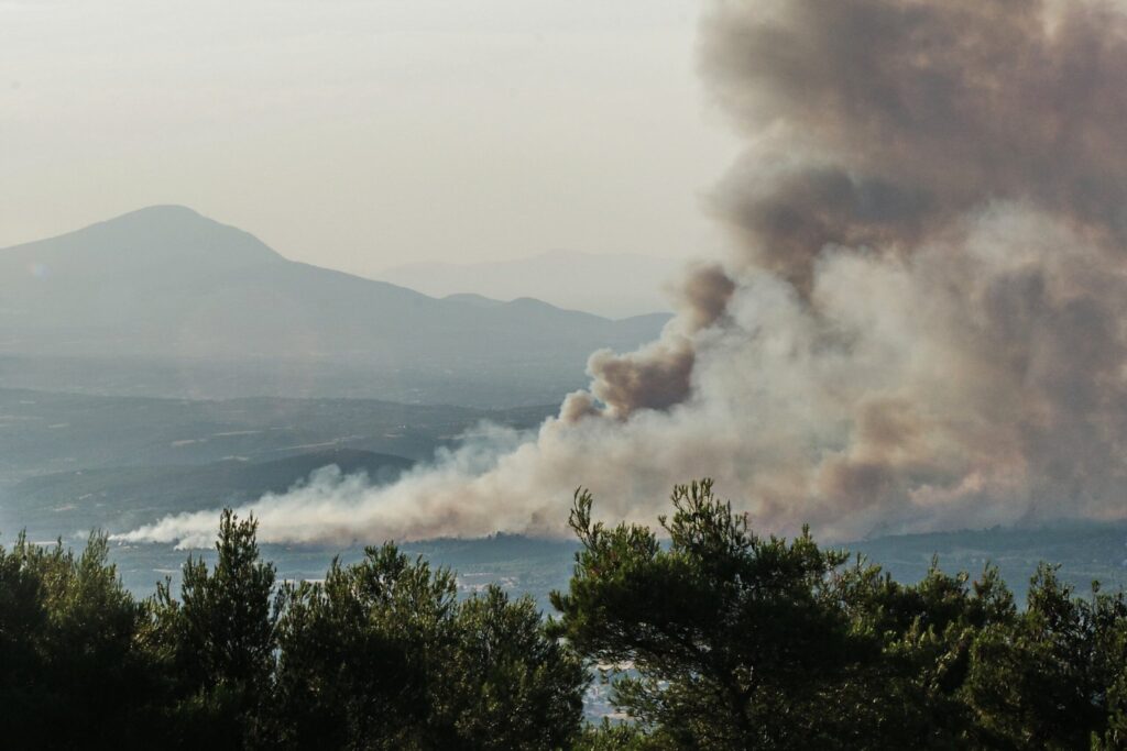 Σε ύφεση η φωτιά στον Ωρωπό- Μάχη με τις φλόγες σε Θάσο, Κιλκίς και ...