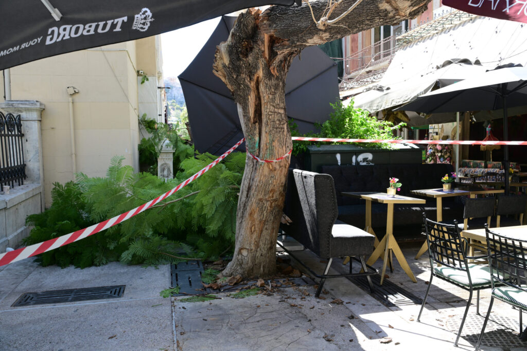 Η στιγμή της πτώσης δέντρου στο κέντρο της Αθήνας - Βίντεο ντοκουμέντο