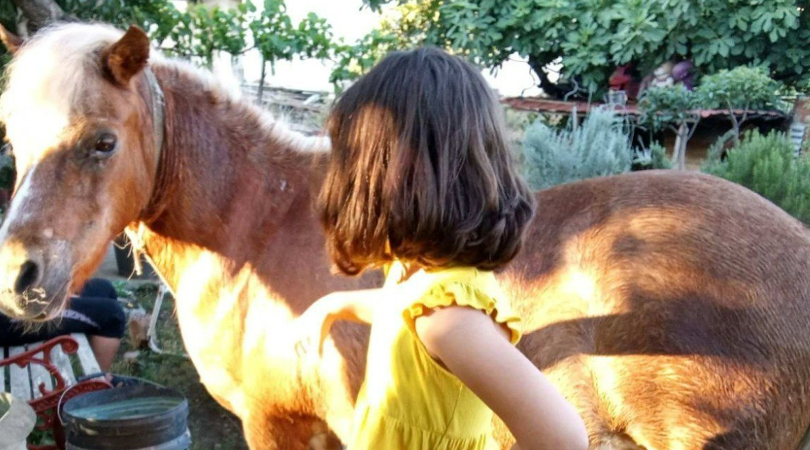 Λαμία: Εκλεψε πόνυ αλλά δήλωσε ότι δεν το κατάλαβε - Το επέστρεψε
