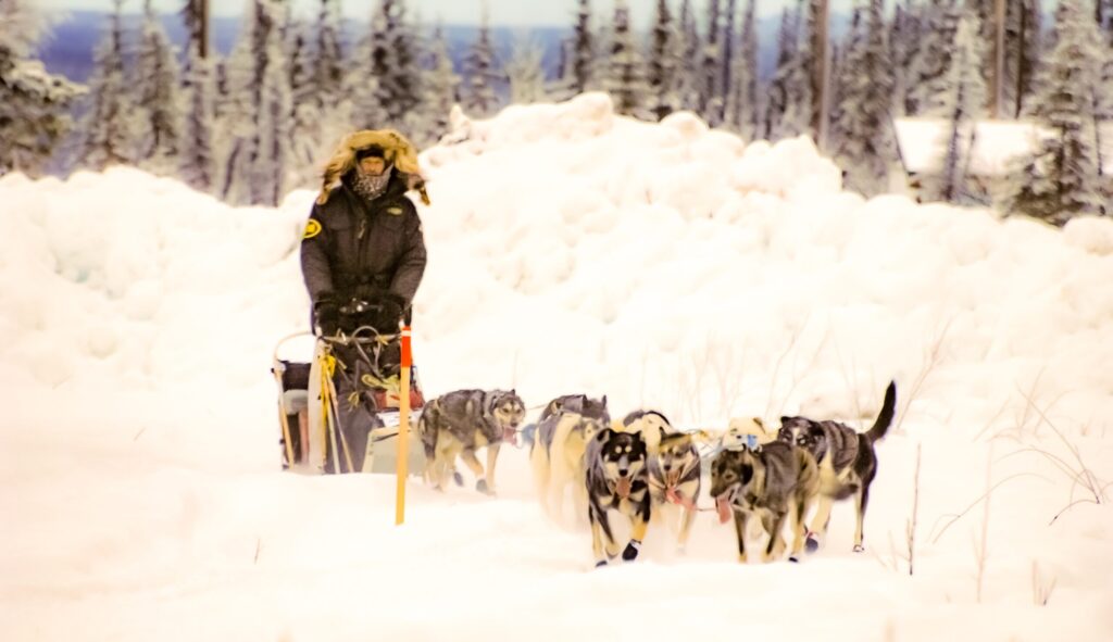 Sirius Dog Sled Patrol: Οι «αόρατοι φρουροί» της Γροιλανδίας που κάνει ...