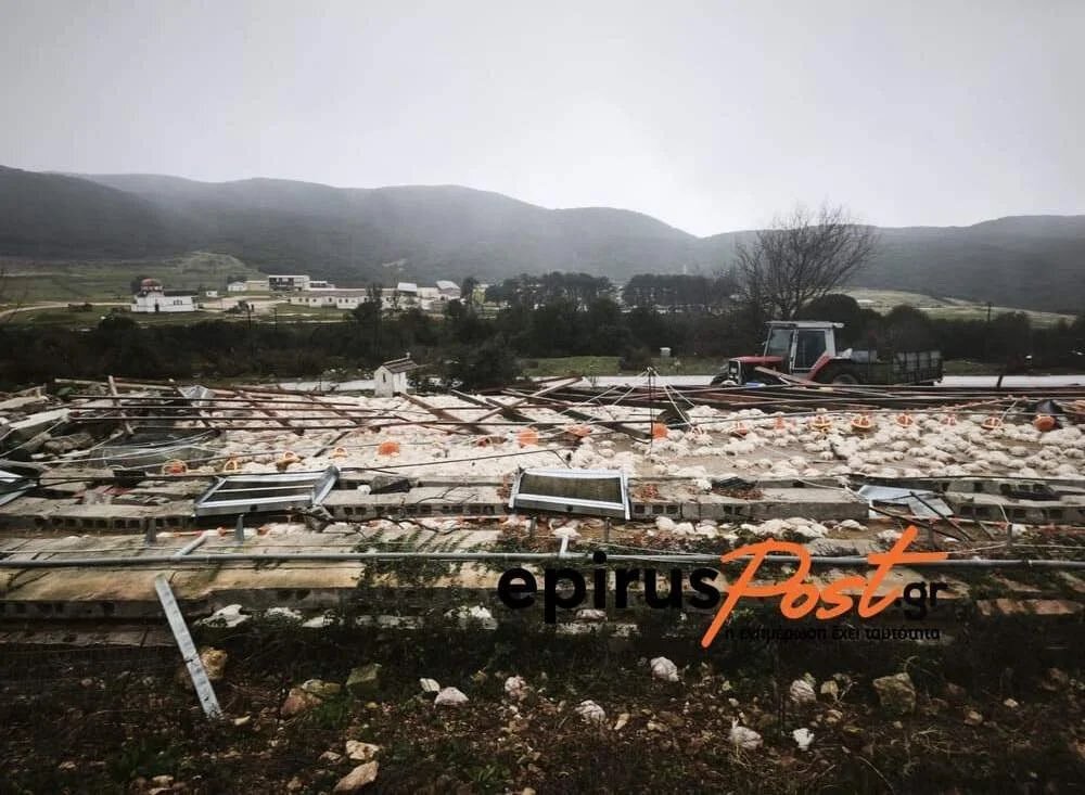Ηπειρος: Σοκάρουν οι εικόνες από πτηνοτροφείο που καταστράφηκε από ...