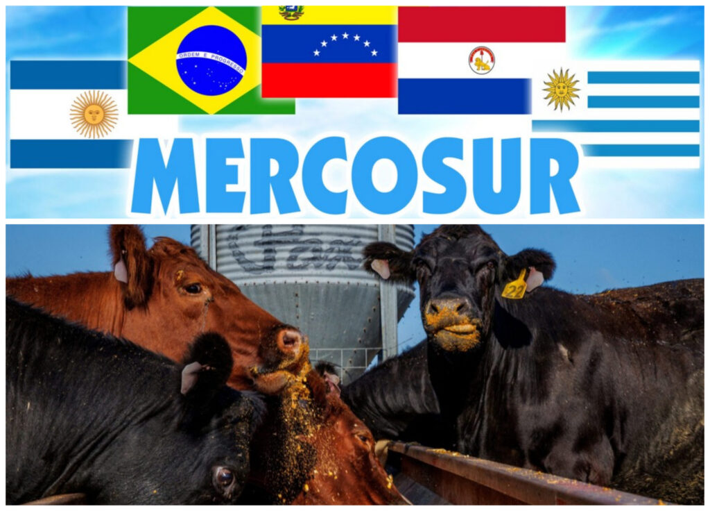 Mercosur και «τι θα φάμε»: Οι φόβοι για φυτοφάρμακα και μεταλλαγμένα ...